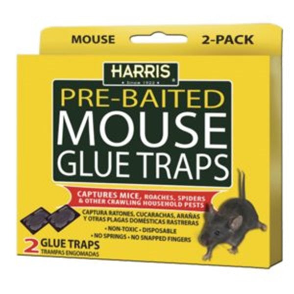Harris HMG-2 Mouse Glue Trap – Miami Home Centers