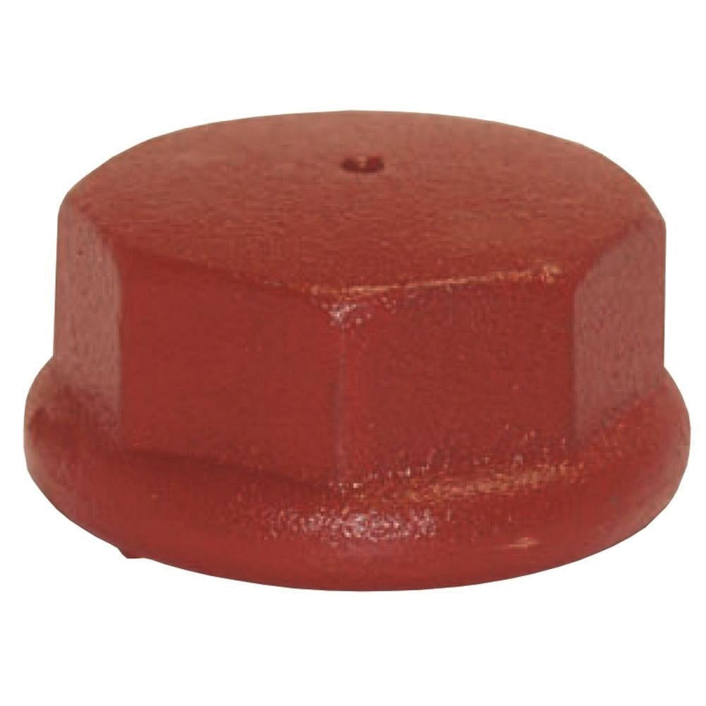 WATER SOURCE DC125-RM Drive Cap-1-1/4 in Pipe-Cast Iron – Miami Home ...